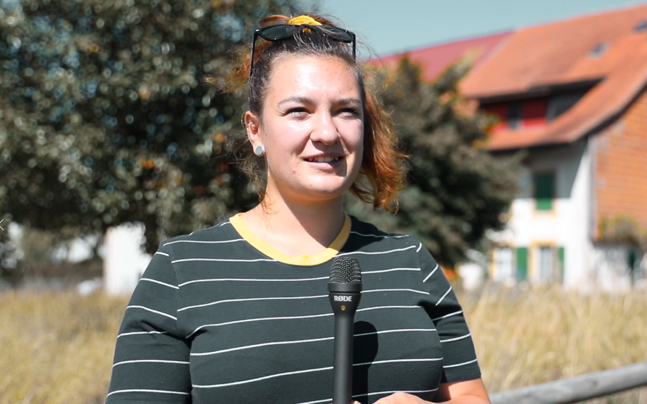 À la découverte de Dizy