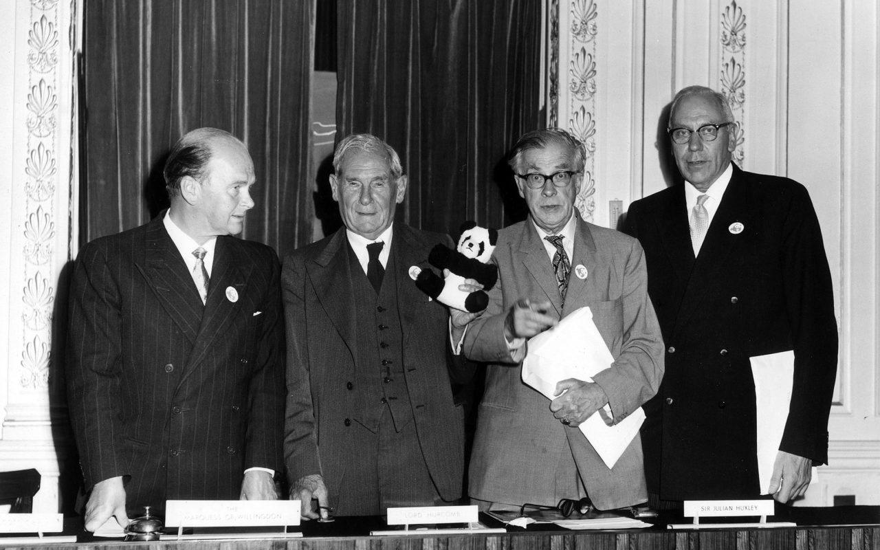 En 1961, le WWF était fondé à Morges