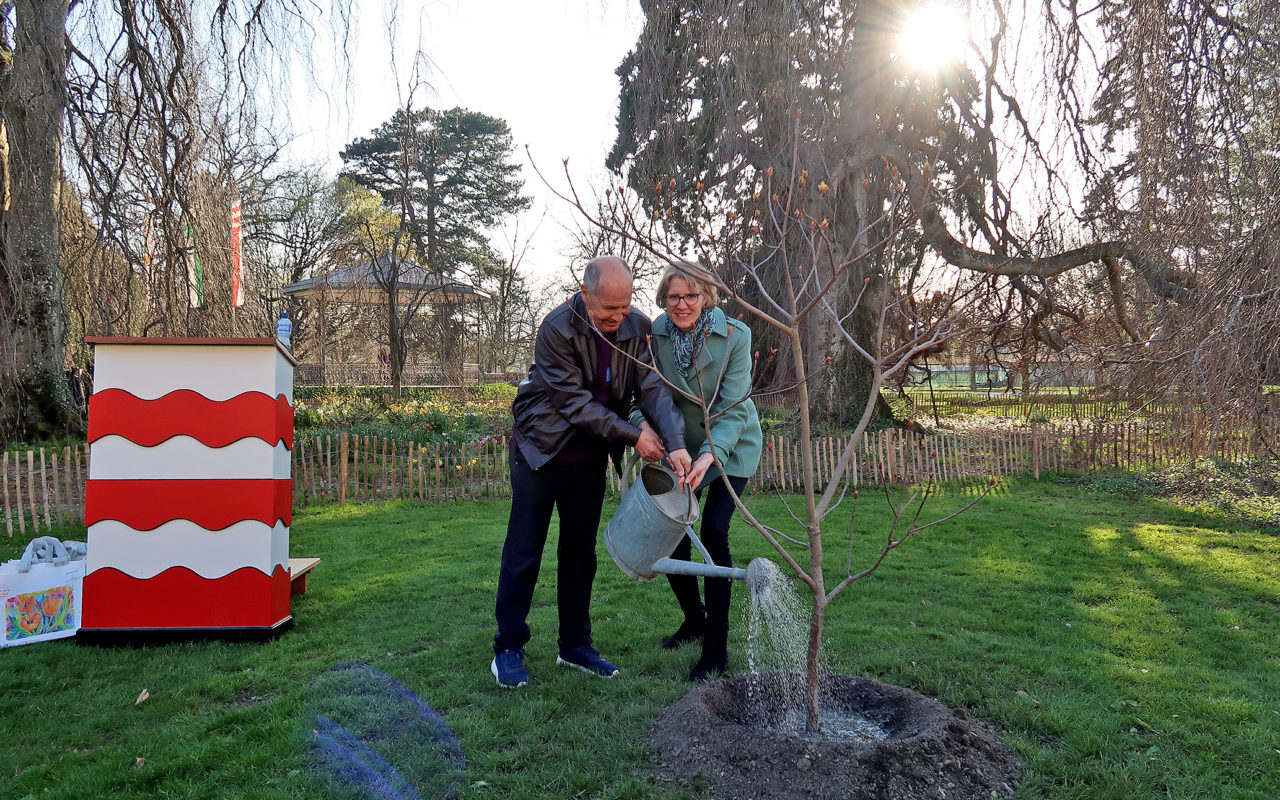 Des étoiles pour veiller sur la floralie