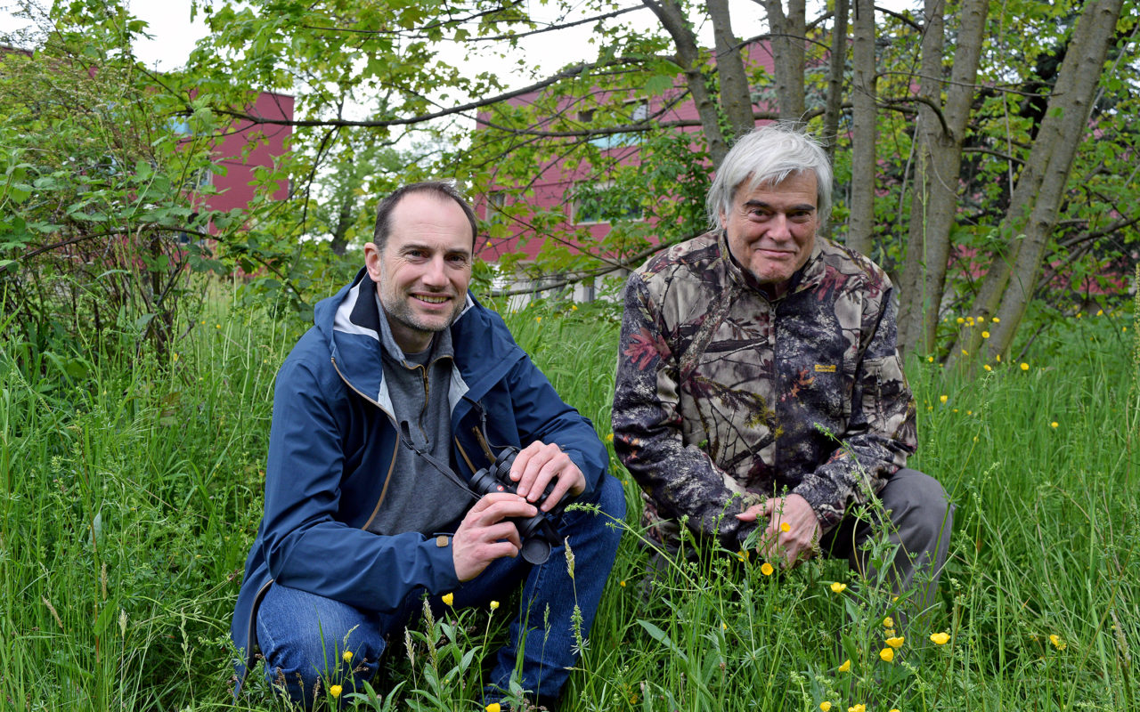 Les fans d’oiseaux refusent le crash