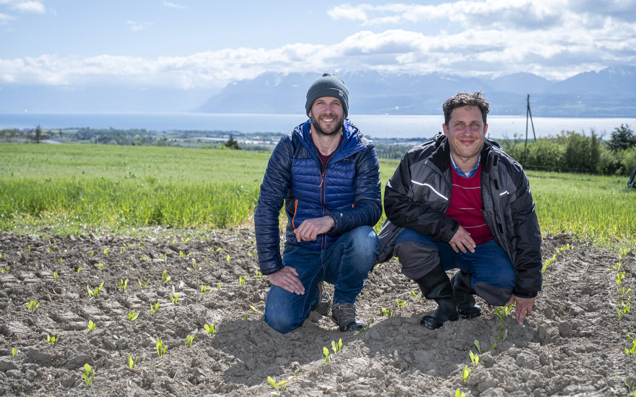Aubonne: Leur symbiose se base sur l’humanité