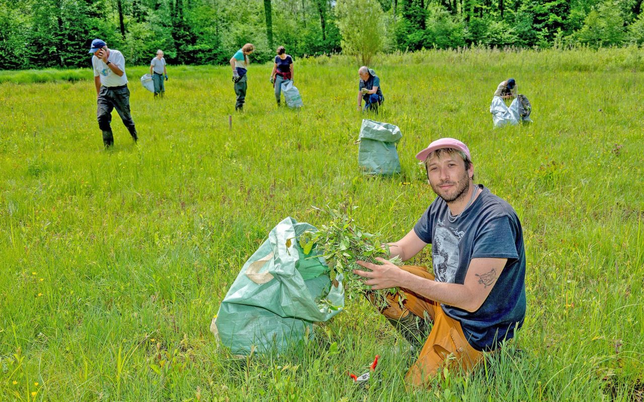 Le grand ménage des réserves naturelles