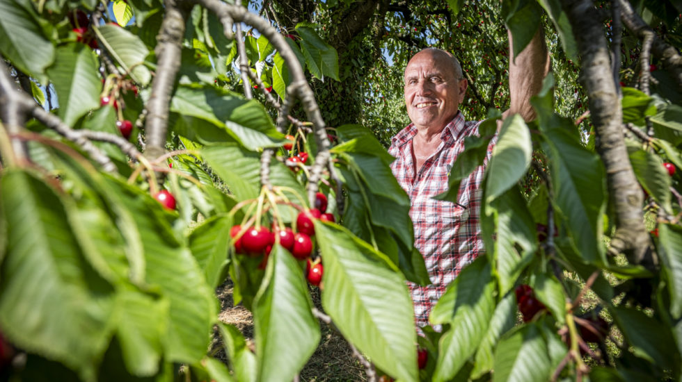 L'année 2025 en 26 lettres (J à L)